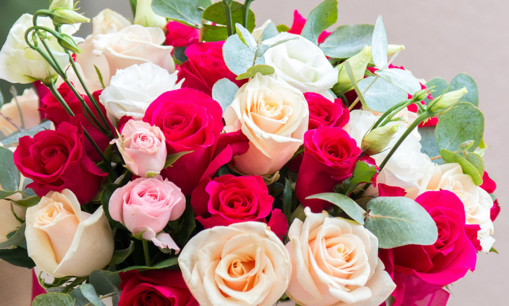 La rose, une fleur pleine de symboles